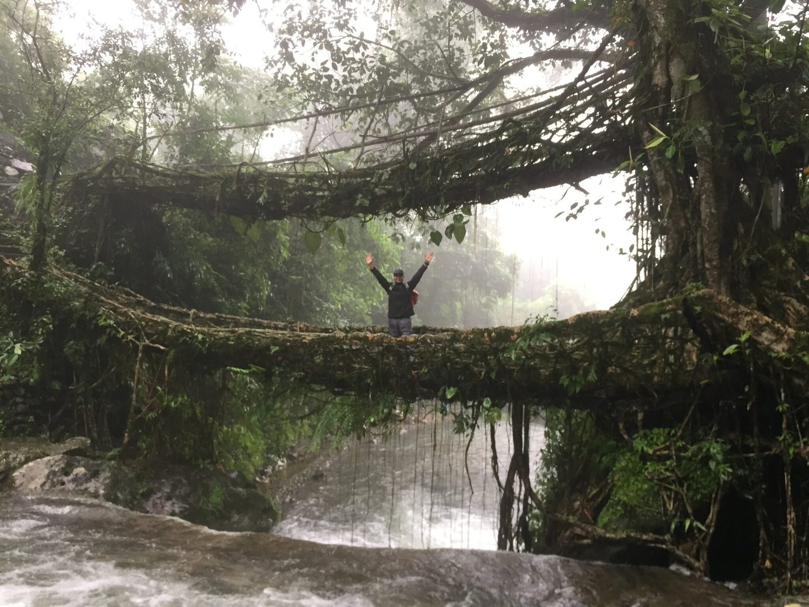 🌿 Double Decker Root Bridge: A Living Wonder in Meghalaya | FlyTribo ...